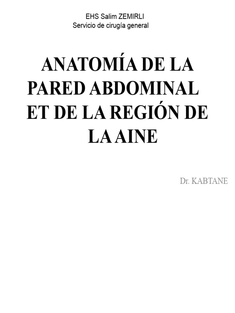 Anatomía de La Pared Abdominal, Región de La Ingle | PDF | Abdomen ...