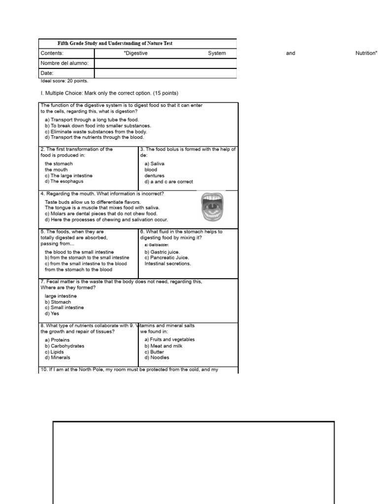 Digestive System and Nutrition Test | PDF | Digestion | Foods
