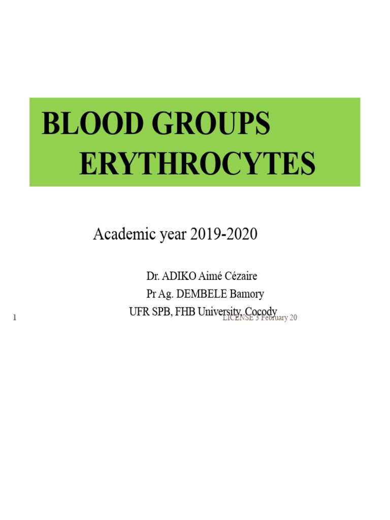 Understanding Blood Groups: ABO & Rh Systems | PDF | Blood Type | Anatomy
