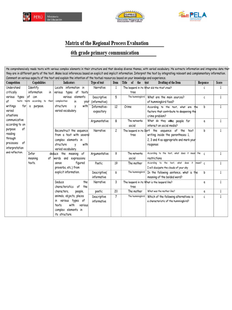 Communication Matrix 6th Grade | PDF | Information | Reading Comprehension