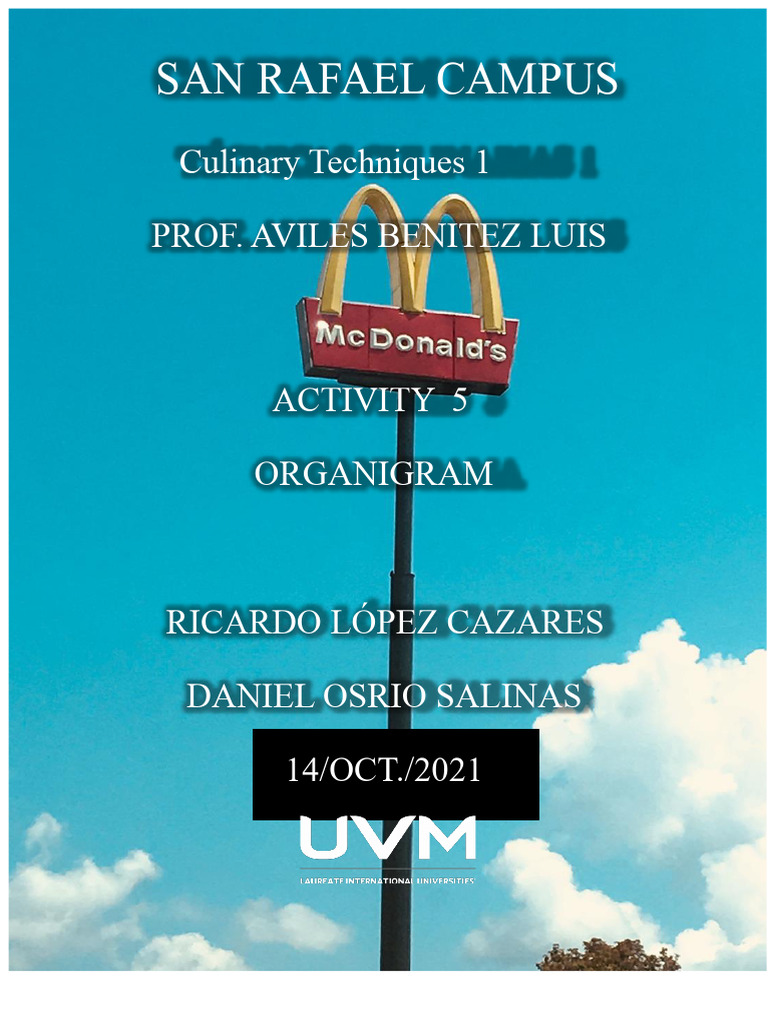 Organizational Chart Techniques McDonald's | PDF