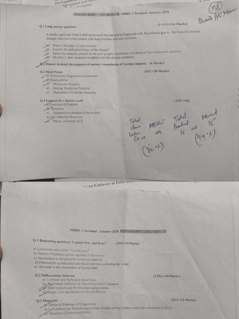 Term-1 Physio Nbzjbhhbuhzbhbhzdubhdubhdbh | PDF | Heart | Neuromuscular ...