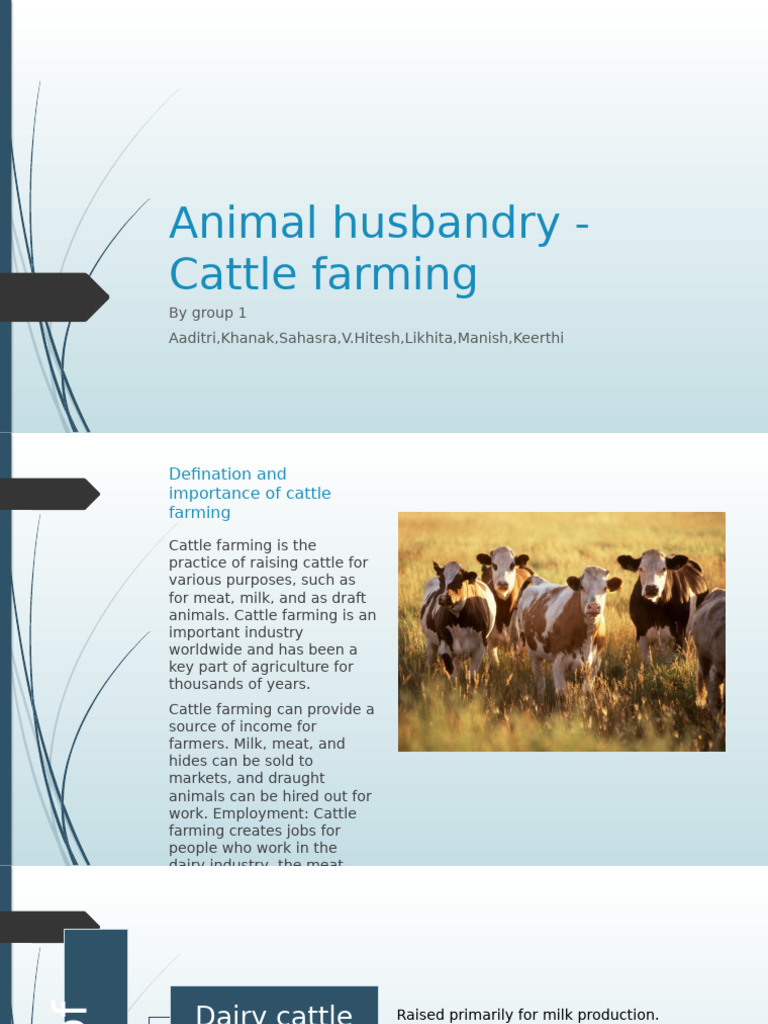 Animal Husbandry - Cattle Farming | PDF