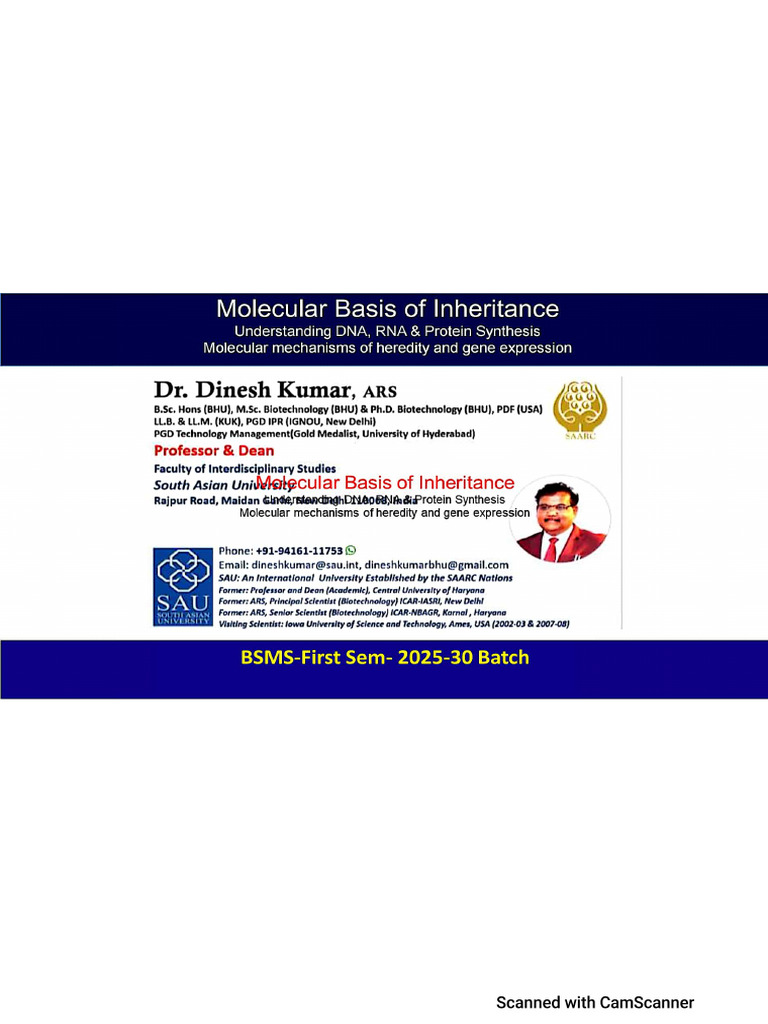4. Molecular Basis of Inheritance | PDF