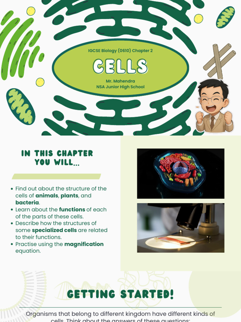 IGCSE Biology Chapter 2 | PDF | Endoplasmic Reticulum | Cell (Biology)