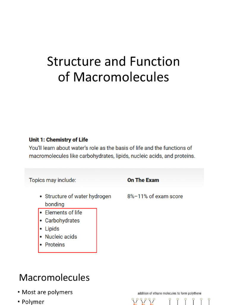 AP Bio Unit 1. Macromolecules AP Biology 2025 | PDF