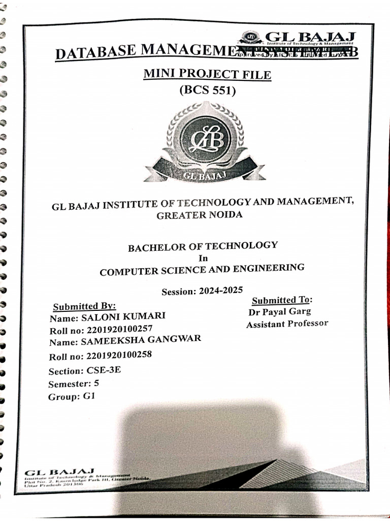 DBMS Report File Demo | PDF