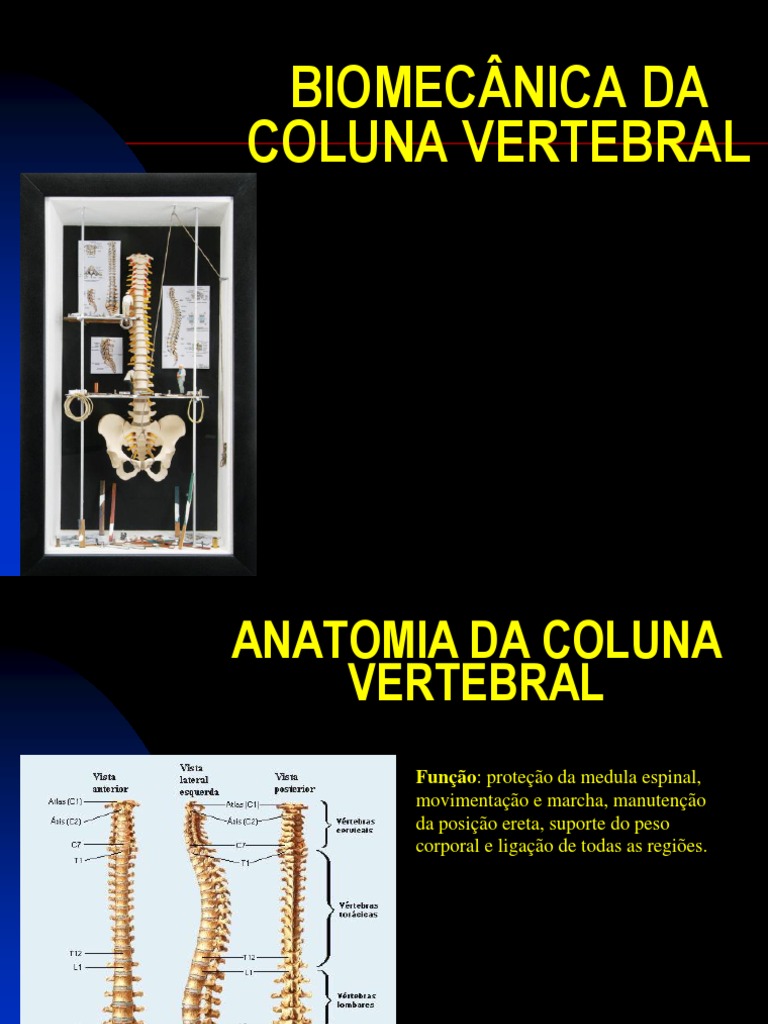 Biomecanica Da Coluna Vertebral | PDF