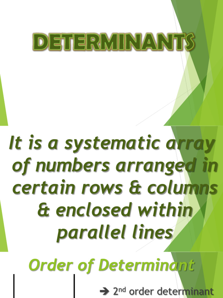 3 - Determinants PPT 1 To 22 | PDF | Algebra | Linear Algebra