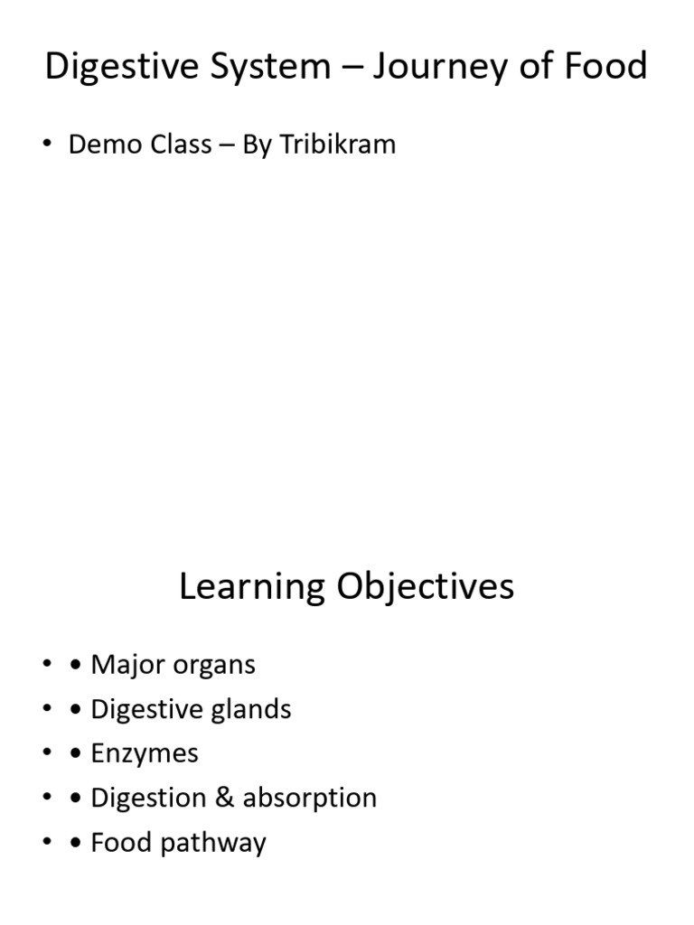 Digestive System Demo Class | PDF