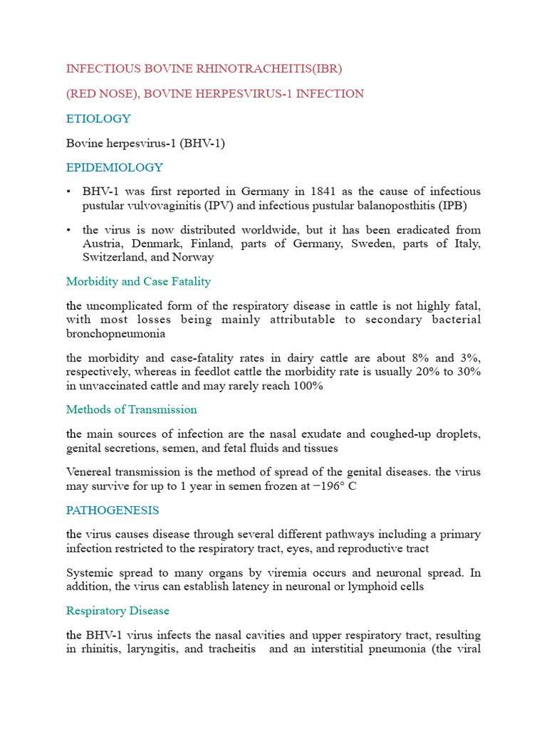 Infectious Bovine Rhinotracheitis (Ibr) | PDF | Infection | Human ...