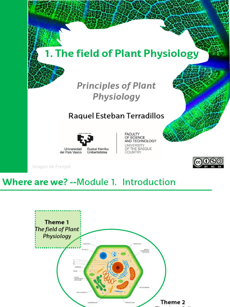 Overview of Plant Physiology Concepts | PDF | Plants | Plant Physiology