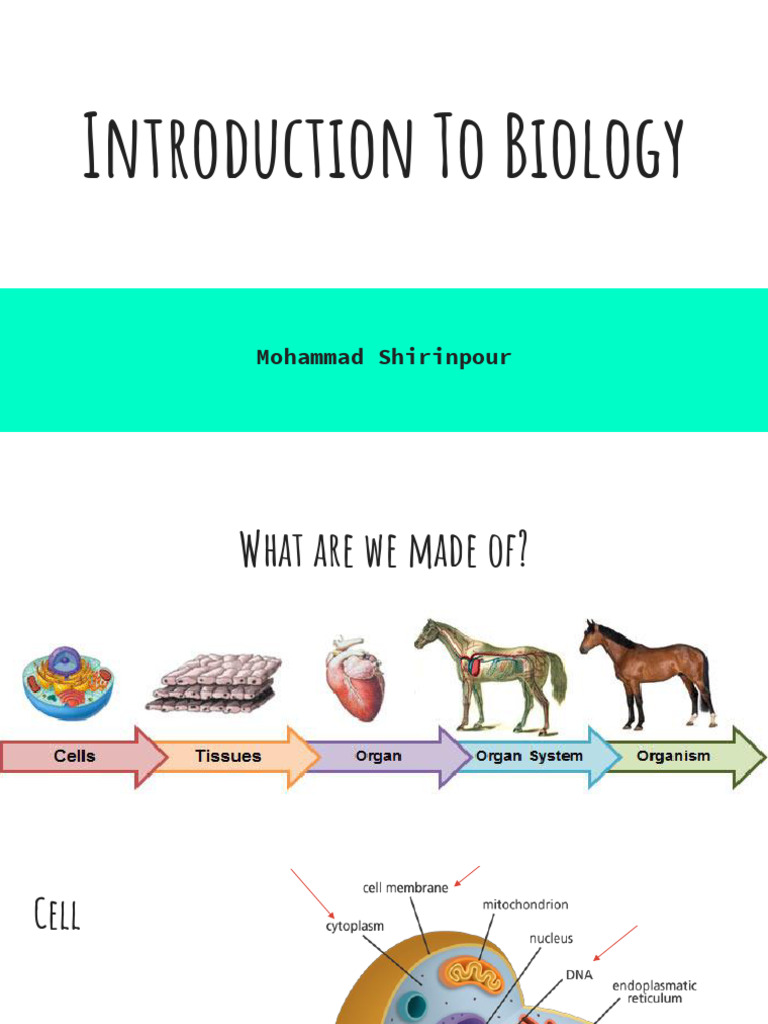 Intro Bio | PDF