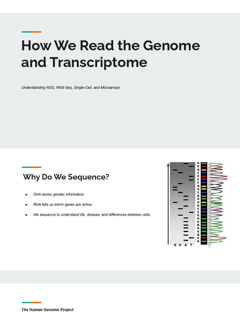 How We Read The Genome and Transcriptome | PDF