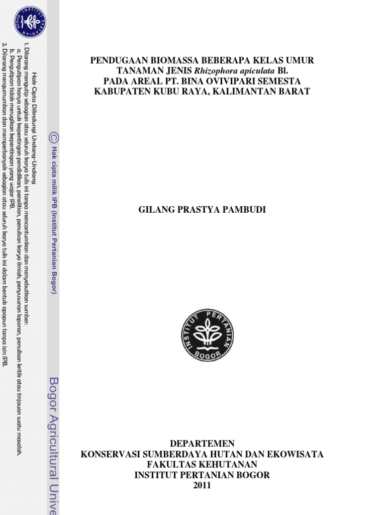 E11 GPP | PDF | Sains & Matematika