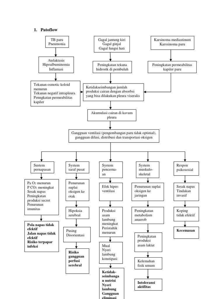 Patoflow Efusi Pleura | PDF