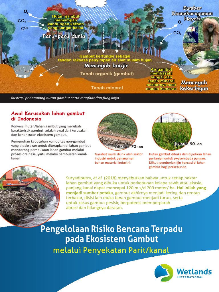 Canal Blocking | PDF