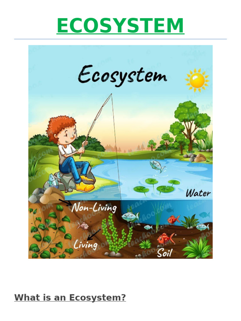 Ecosystem | PDF | Ecosystem | Decomposition