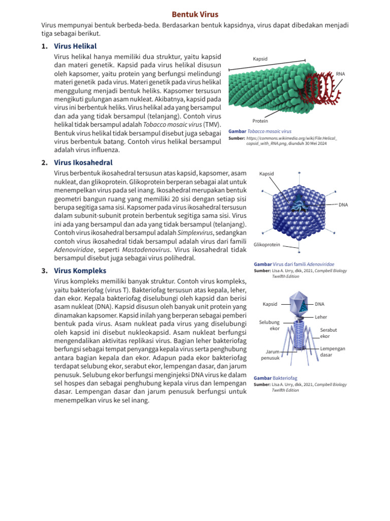Bentuk Virus | PDF