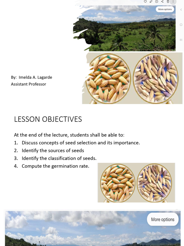 Seed Selection and Germination Guide | PDF | Seed | Germination