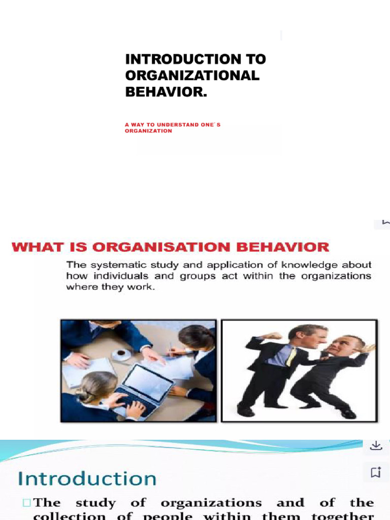 Organisational Behaviour | PDF