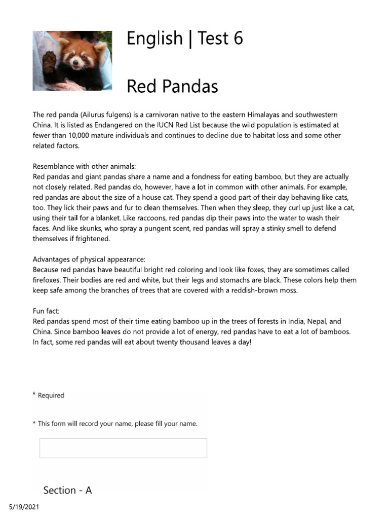 Informative Text - Red Pandas | PDF