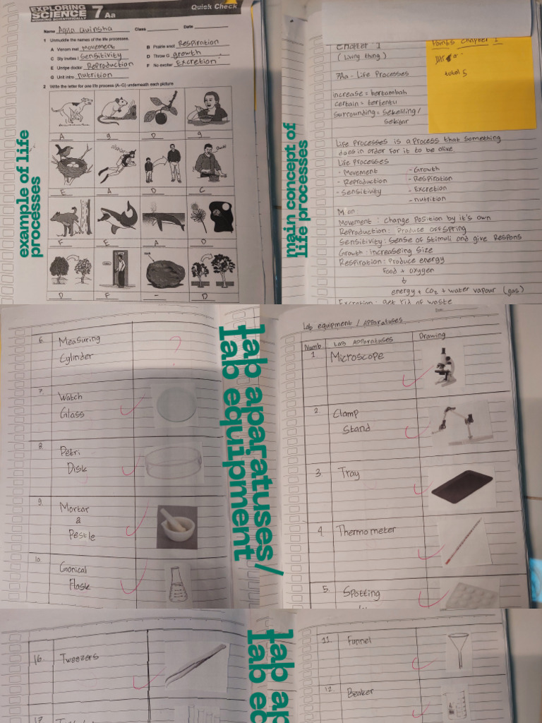 Overview of Life Processes and Cells | PDF