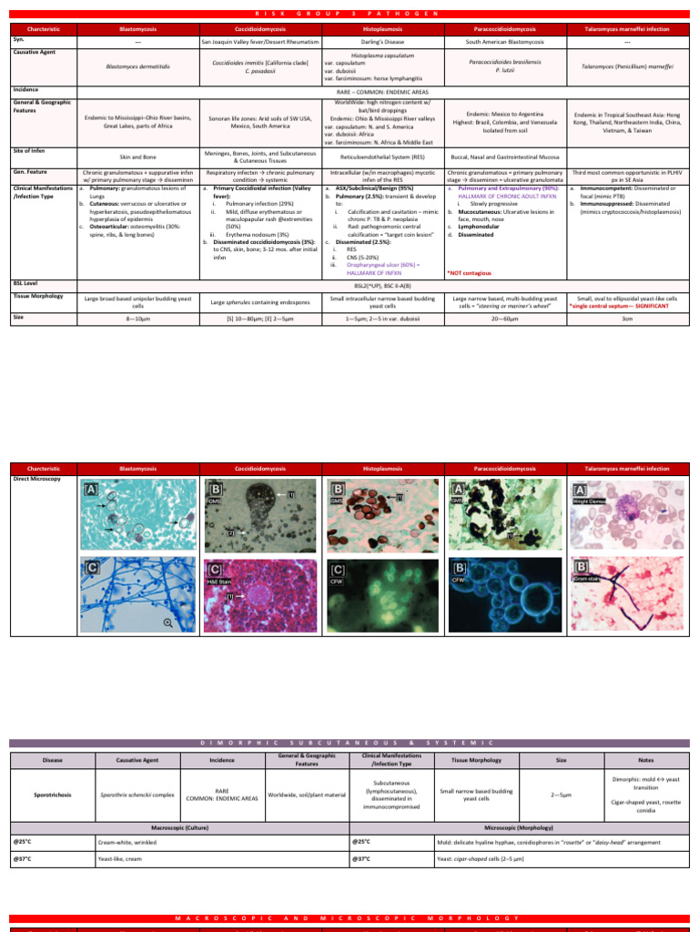 Only Systemic Mycoses | PDF | Aspergillus | Candida (Fungus)