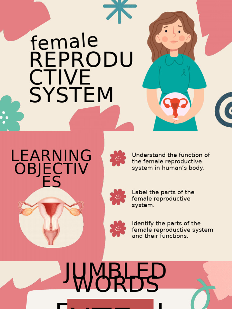 Female Reproductive System Overview | PDF | Reproductive System | Uterus