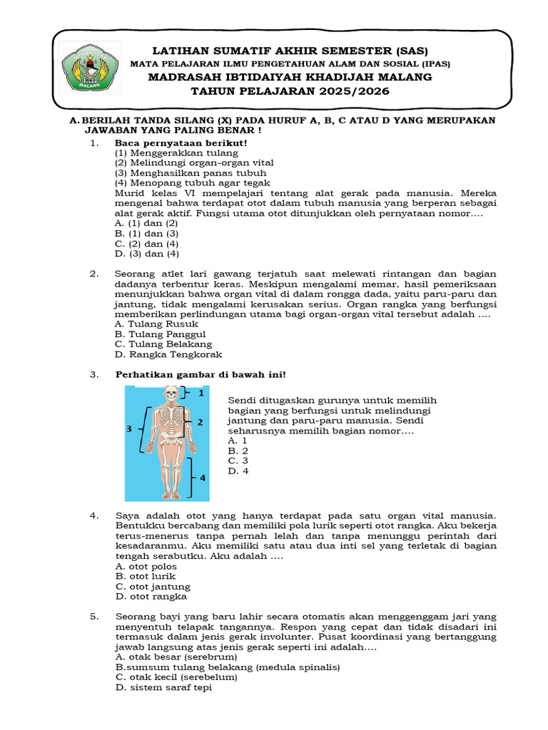 LATSO SAS IPAS | PDF