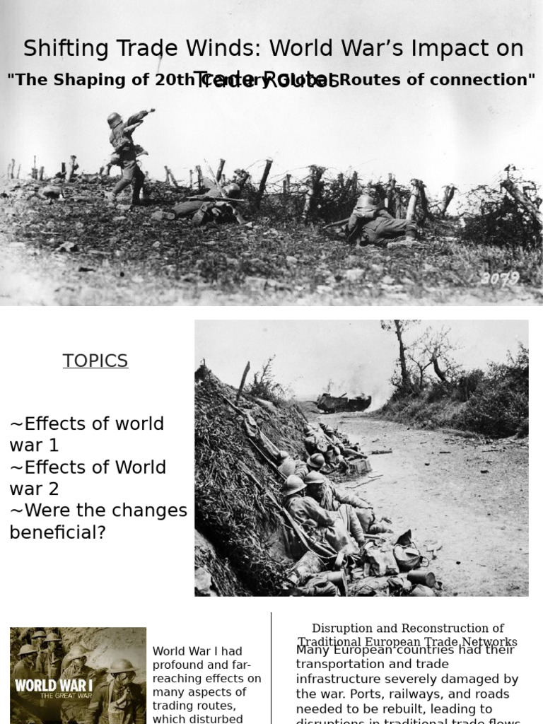 SST PPT NMND | PDF | Trade | Protectionism