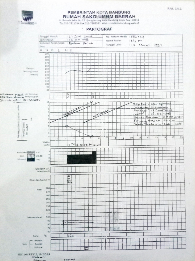 Partograf | PDF