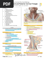 Gross - 1s01 - Intro to Anatomy | PDF | Anatomical Terms Of Motion ...