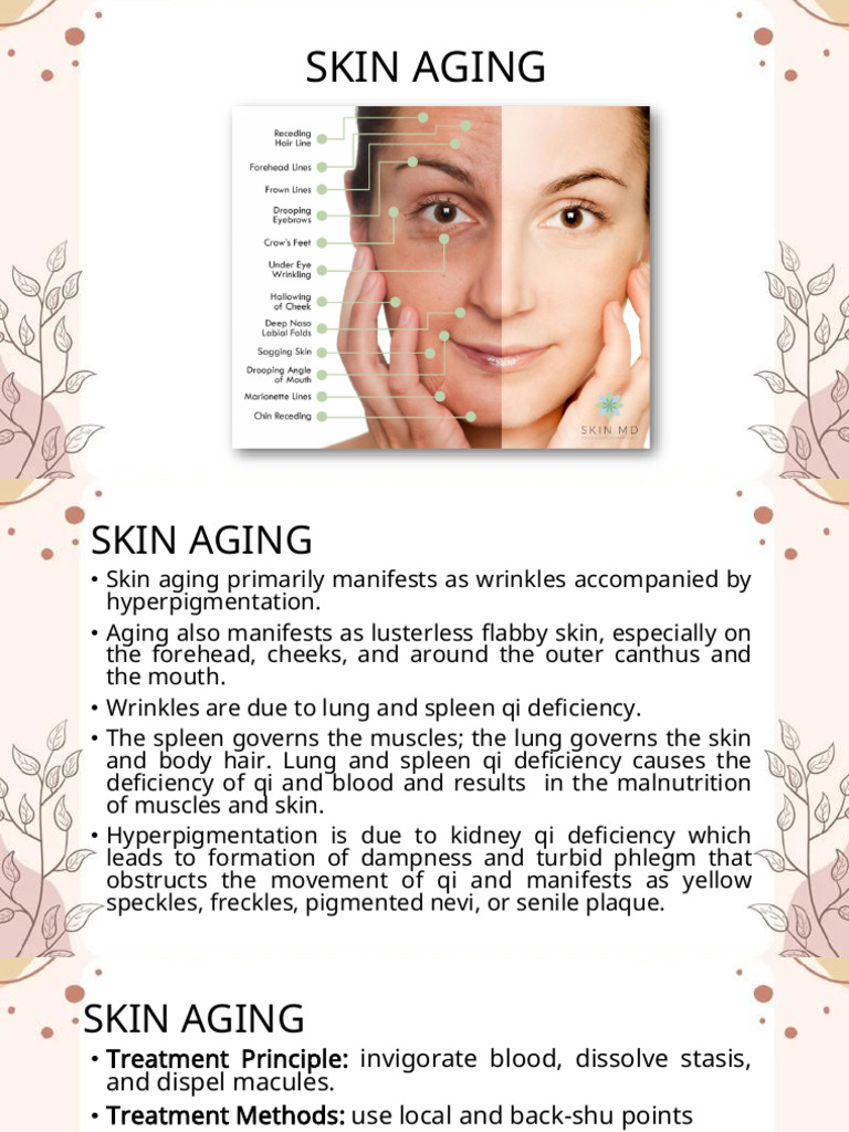 Skin Aging | PDF