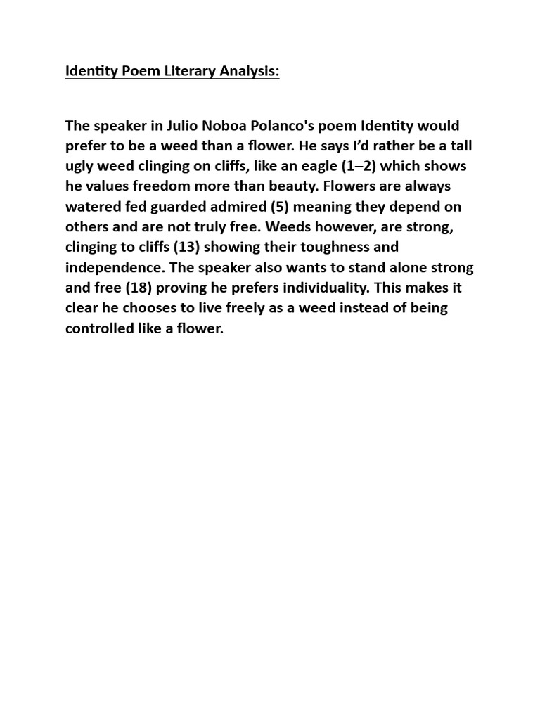 Identity Poem Literary Analysis | PDF