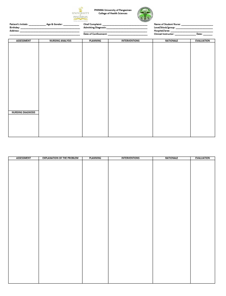 Nursing Assessment Template Form | PDF