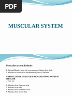 Prime Movers of Major Muscle Actions | PDF | Anatomical Terms Of Motion ...