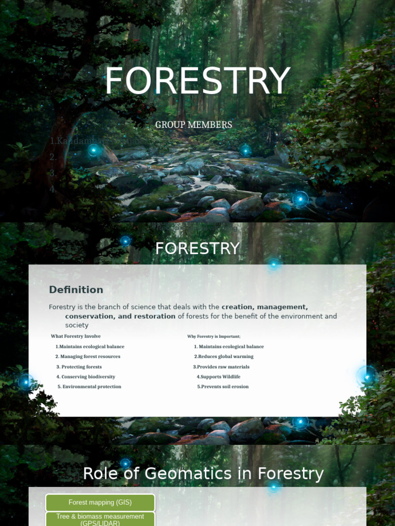 Forestry | PDF | Forests | Remote Sensing