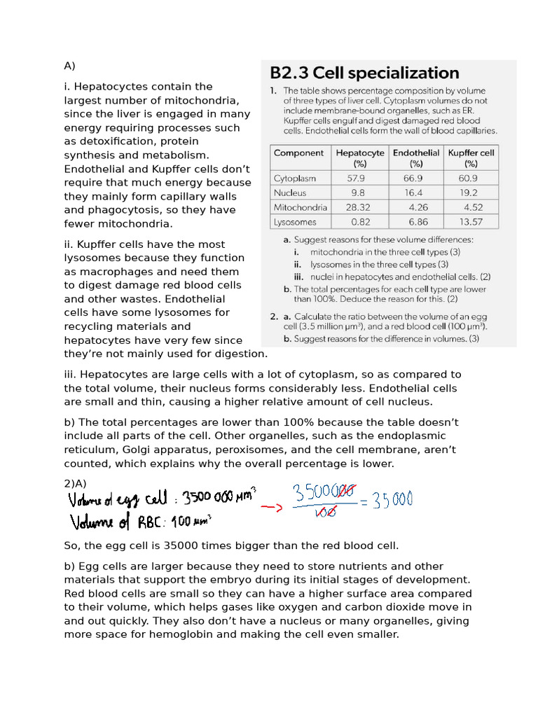 Cell Specialization | PDF