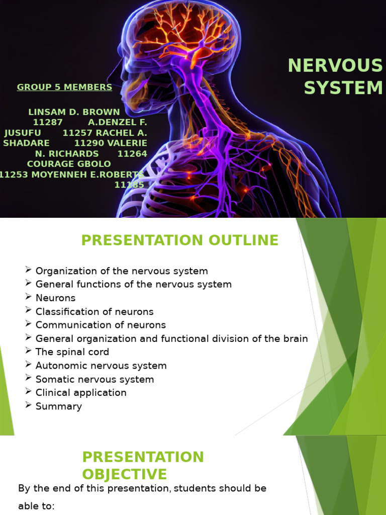 Nervous System Powerpoint | PDF | Synapse | Excitatory Postsynaptic ...