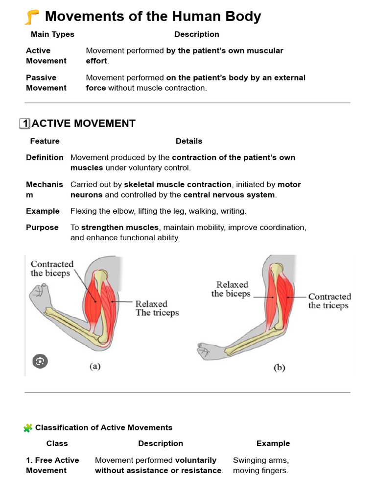 Active vs Passive Movements in Physio | PDF | Physical Therapy ...