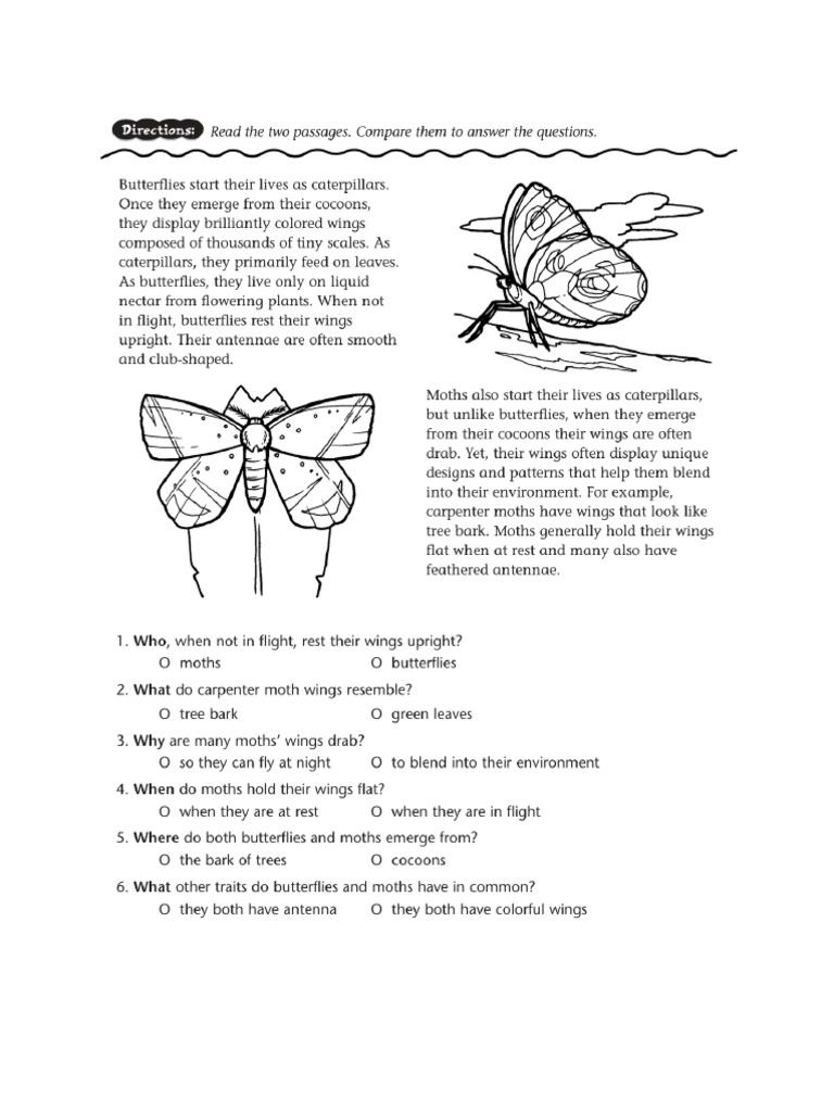 6 Reading Comprehension Skills (32,33,36,37) | PDF