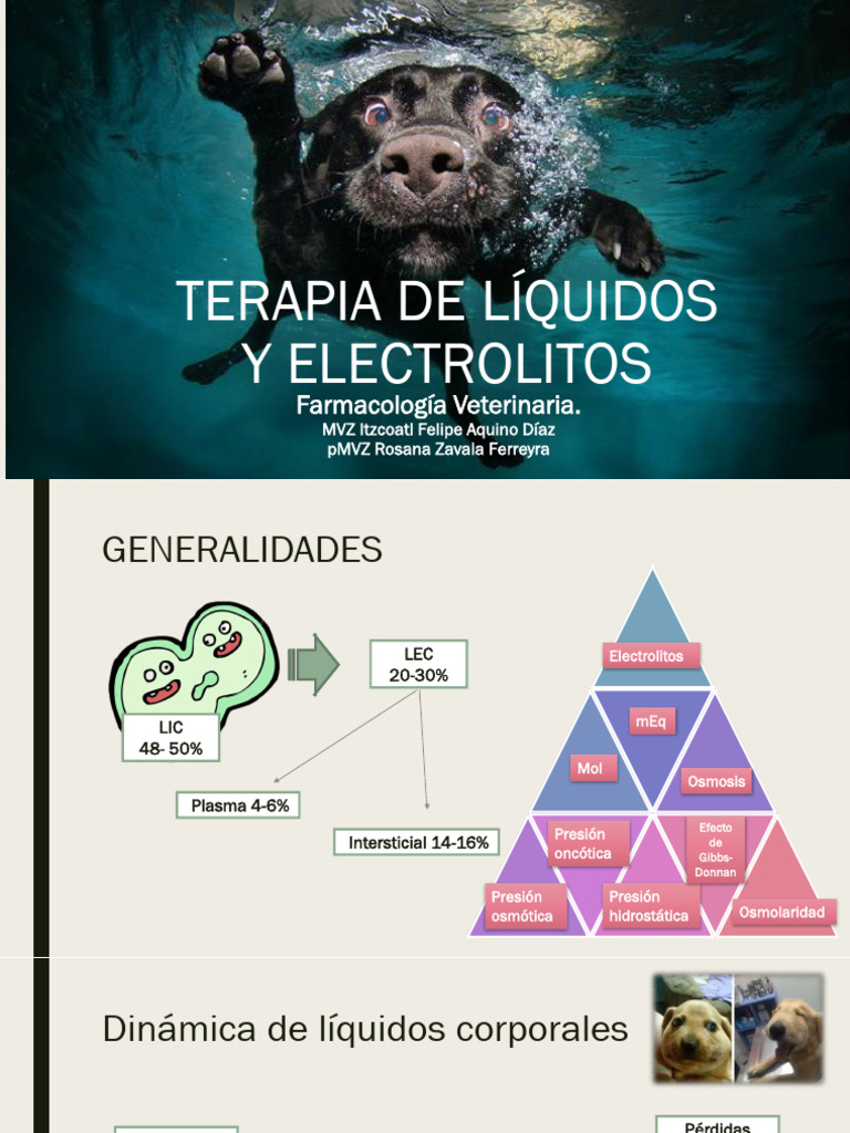 Terapia de Líquidos y Electrolitos - 251125 - 111344 | PDF ...