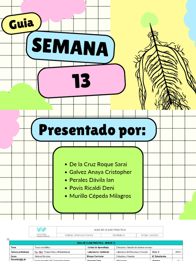 The Nervous System Biology Presentation in a Colorful Style_20251127_115715_0000 | PDF | Sistema ...