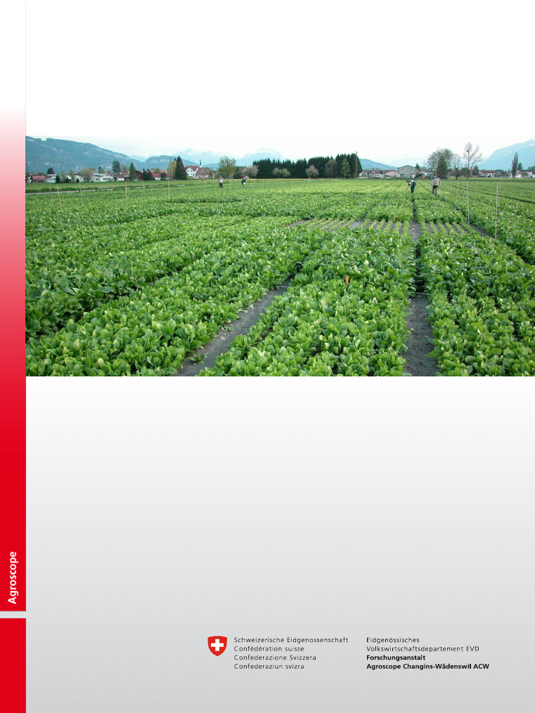 Fumure optimale en cultures maraîchères | PDF | Fertilisant | Sol ...