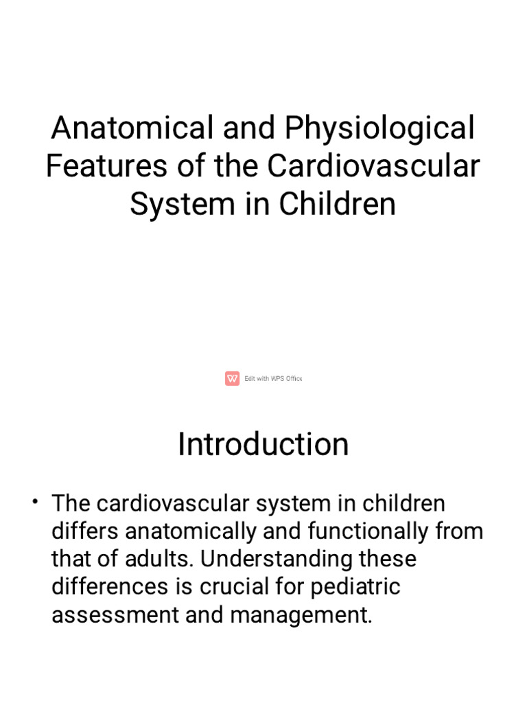 Pediatric Cardiovascular System Overview | PDF | Circulatory System | Heart
