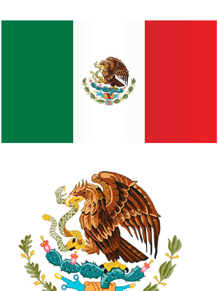 Logos y Bandera | PDF