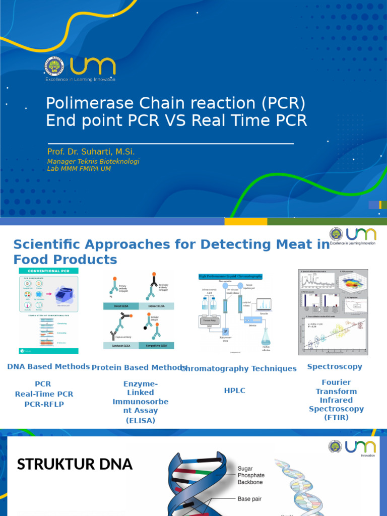 Perbandingan PCR Konvensional dan Real-Time | PDF