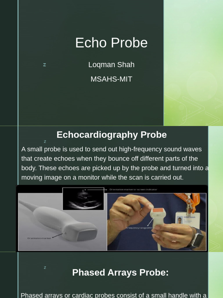 Lec 5 Echo Probe | PDF