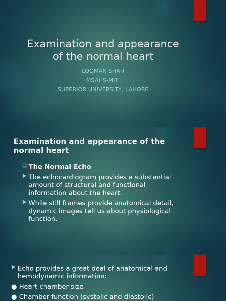 Lec 7 Examination and Appearnce of The Normal Heart | PDF | Ventricle ...